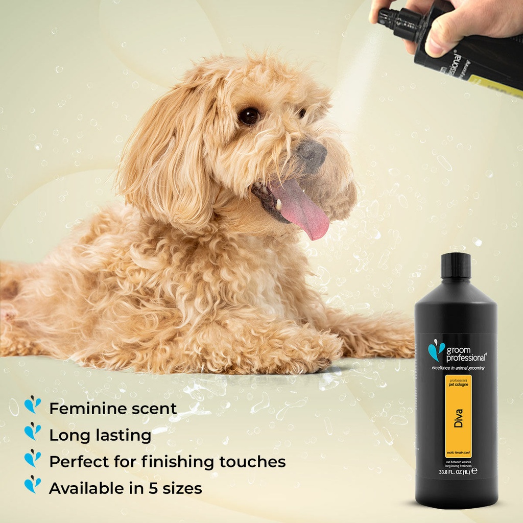 Groom Professional Diva Cologne (Perfume)[Flavor - Exotic Female Scent ...